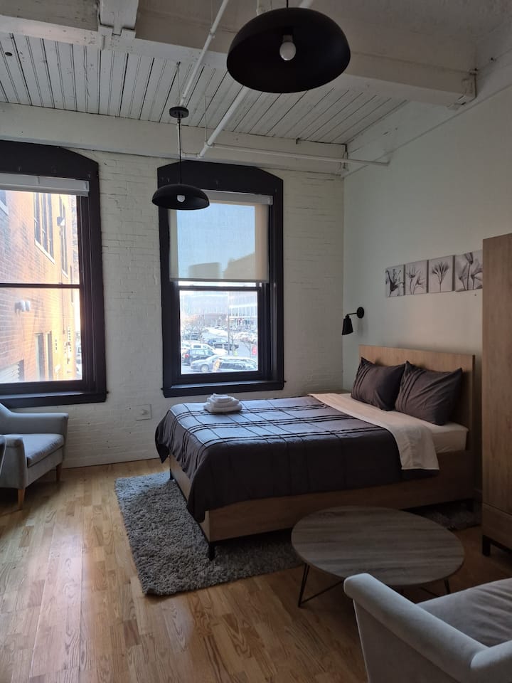 Modern Private Furnished Studio Elev Wifi Pratt St - Hartford, CT