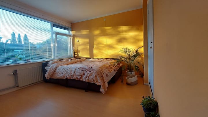 Kamer In Kostverloren - Groningen