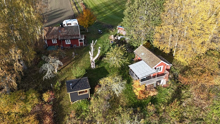 Zweedse Oase Van Rust Met Hertgarantie - Töreboda