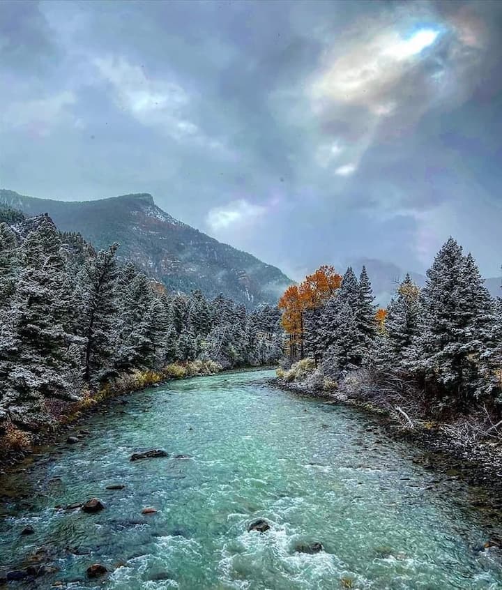 Sking, Fishing & Shopping! - Whitefish, MT