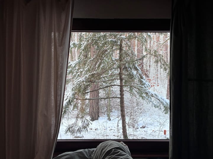 Eco Forest Escape With 2000m2 Private Forest - Brandenburg