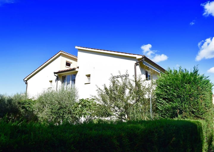 Apartment "Maslina" - Medulin