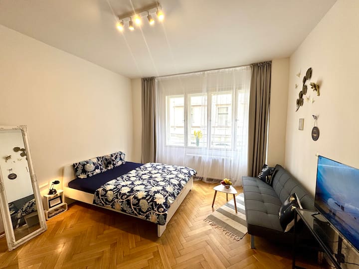 Perfect Place In The City Center - Prag