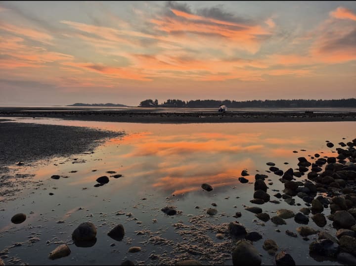 West Coast Vibes - 팍스빌