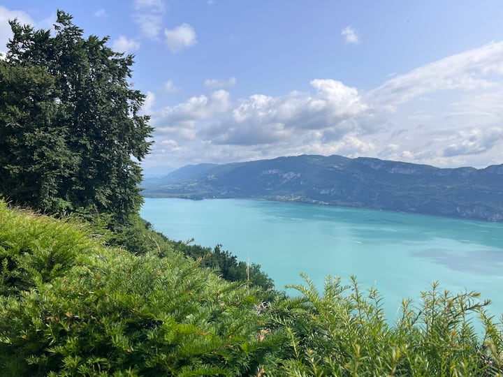 L’esprit Lac-t3 Neuf Et ÉLégant - Aix-les-Bains