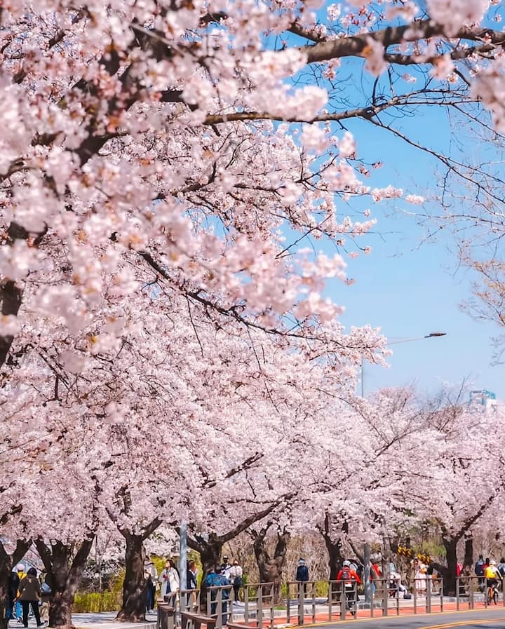 이태원•해방촌|신흥시장3분|n서울타워|무료짐보관|공항버스5분•명동•종로•광화문•경복궁•강남 - Seoul