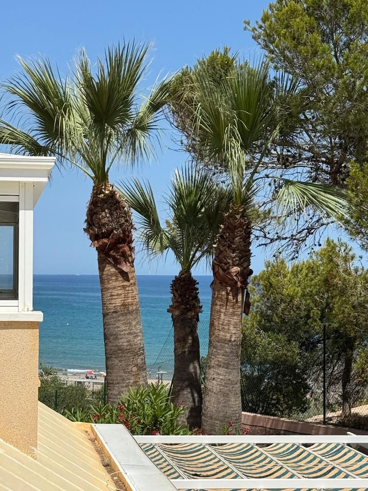 Sea & Sun Terrace Alicante - El Campello