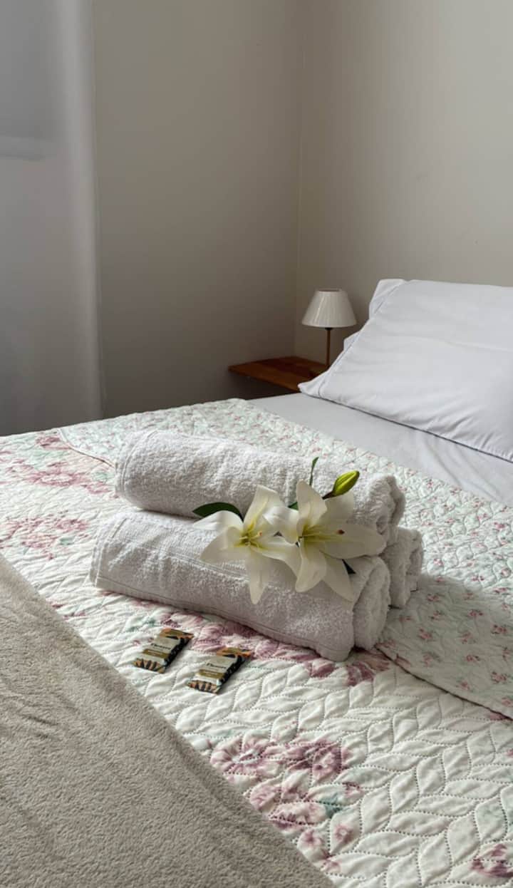 Apartamento E Hospital E, Sesi, Castelim, Centro - Franca