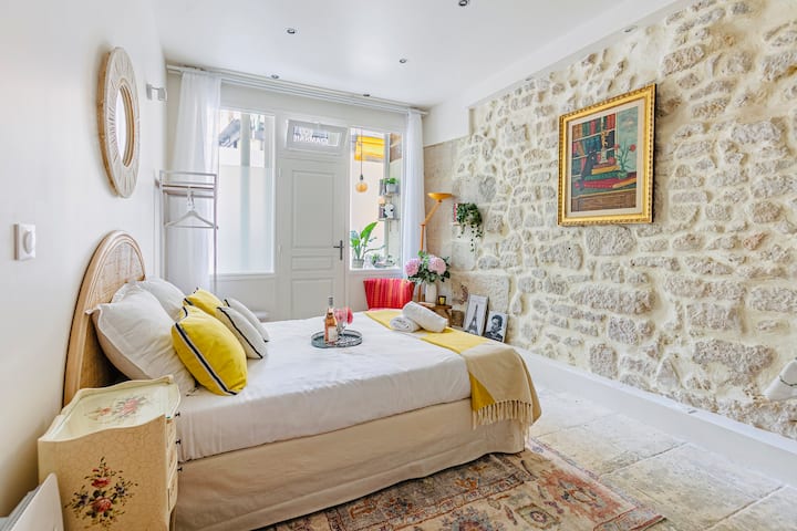 Vintage Airbnb- Notre Dame, Boulevard St Germain - Paris