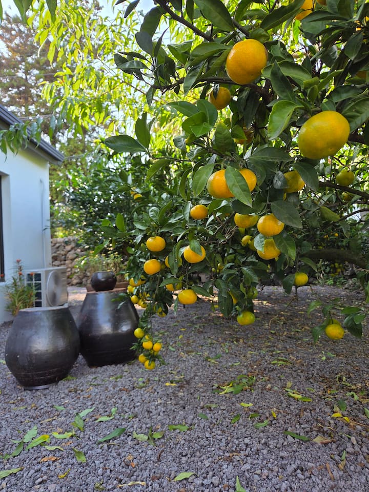 제주애월감성숙소/커플숙소/제주돌담/감귤뷰/하귤소담-소담채 - Jeju