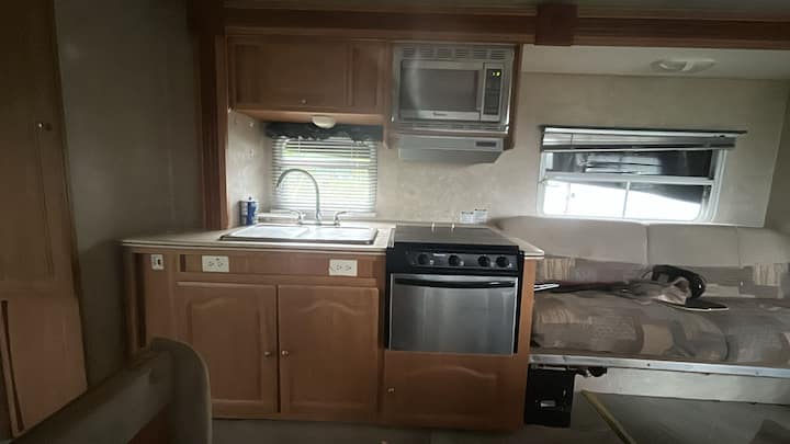 Trini - Zephyrhills, FL