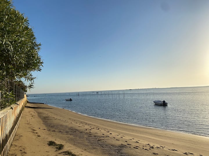 Cosy Le Canon - Lège-Cap-Ferret