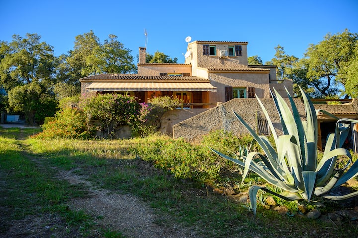 A Casa Griscellena, Pleine Nature, 5 Min De La Mer - Corsica