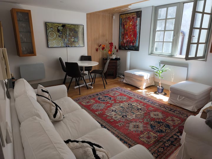 Renovated Flat, Historic Centre - Bayonne