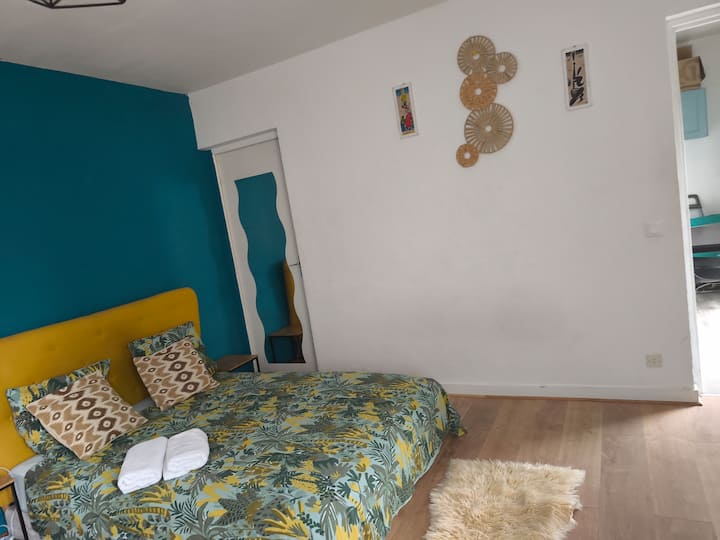 Studio Meublé - Saint-Étienne