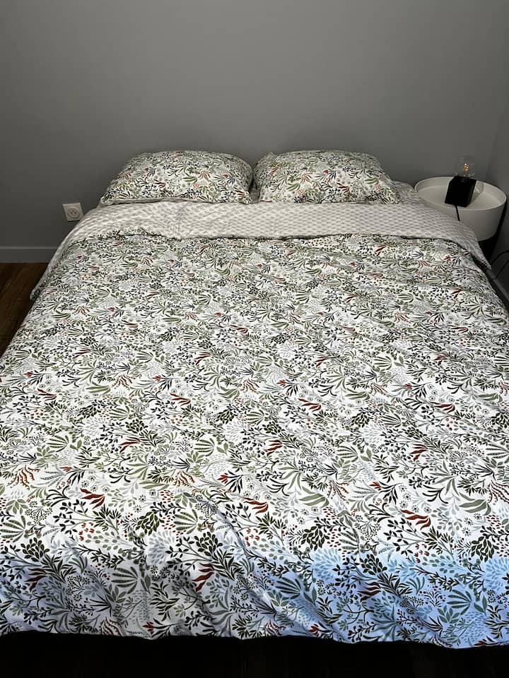 Charmant Logement - Proche Arena - Cenon