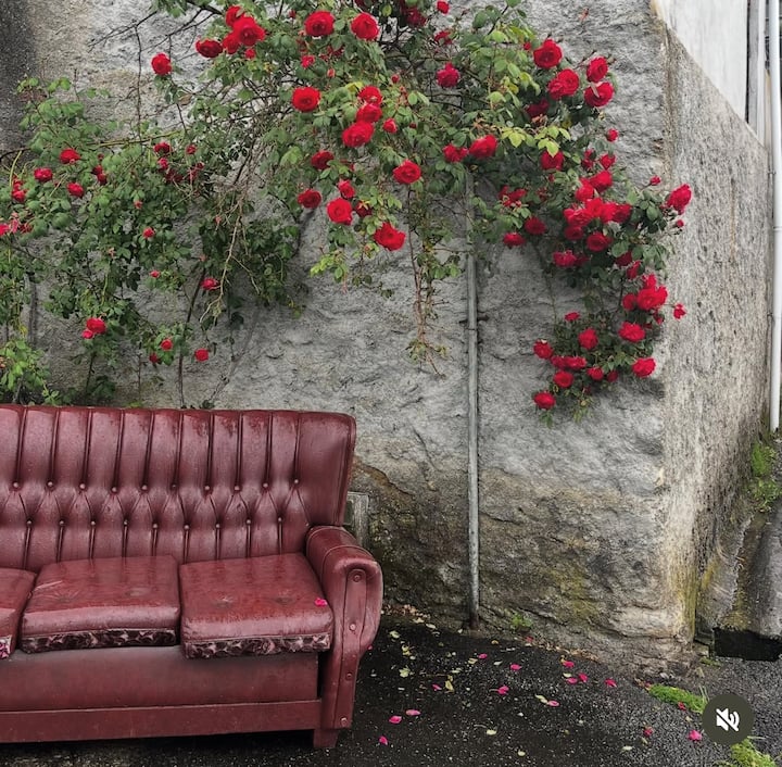 A Palleira De Cabanas - Celanova