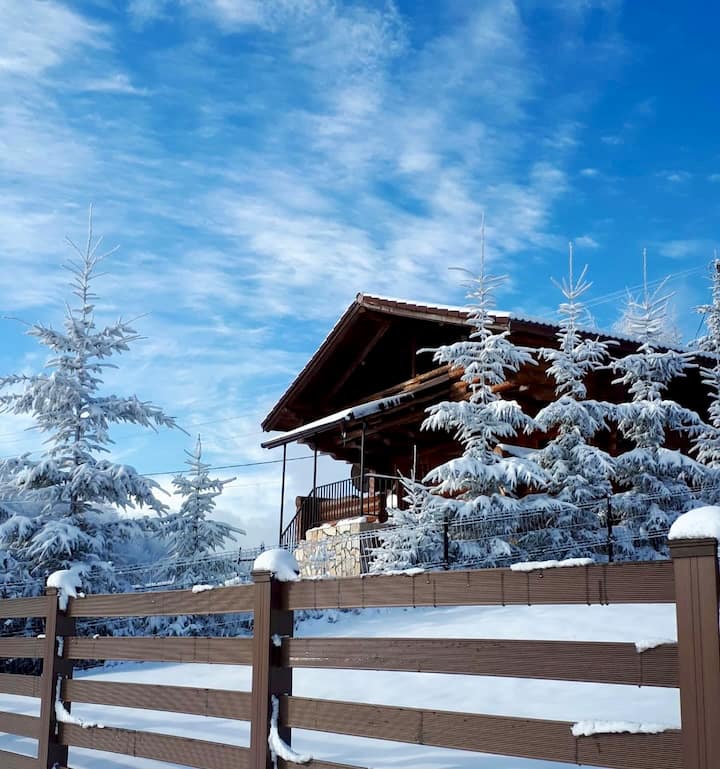 Artem Chalet - Cozy Log House - Transylvania