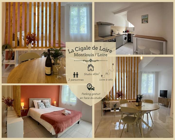 La Cigale De Loire / Grand Studio Bord De Loire - Vouvray