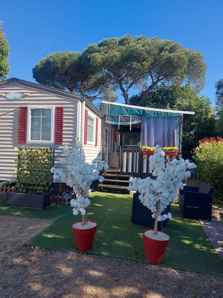 Bungalow Camping De 4 éToiles - Puget-sur-Argens