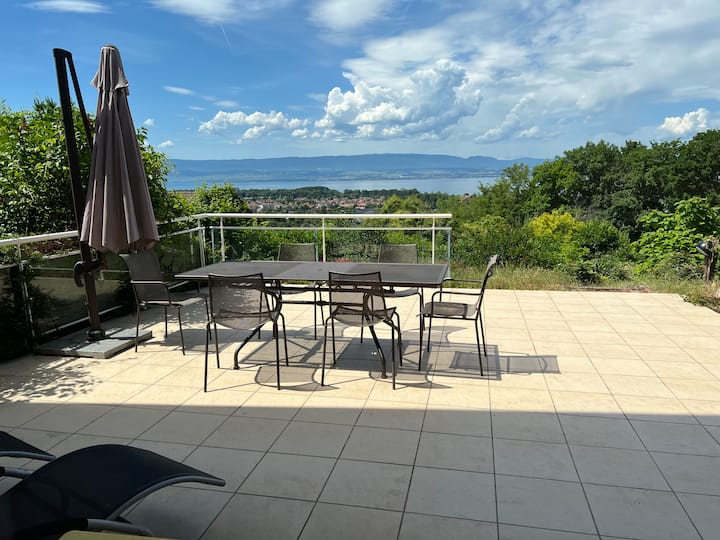 Belle Villa D’architecte Vue Lac - Évian-les-Bains