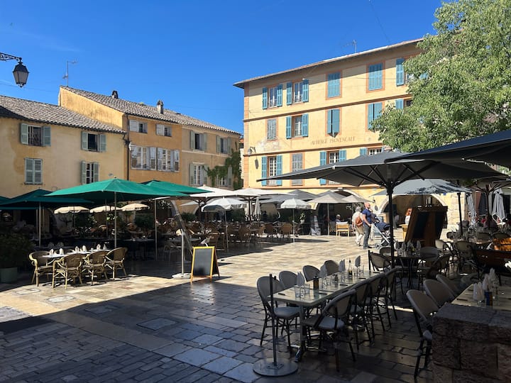 Valbonne Village House - Valbonne