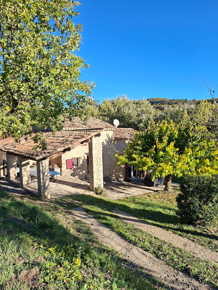 Cabanon Provençal En Pierre Entouré De Lavandes - Le Jardin de l'Abbaye de Valsaintes