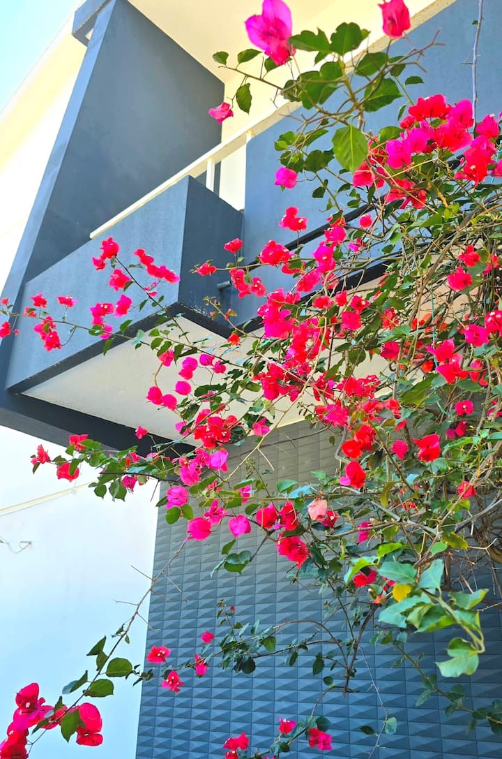 Jan-house - Braga