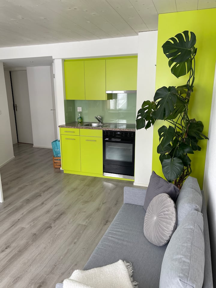 Wohnung Im Herzen Von Bühler - St. Gallen