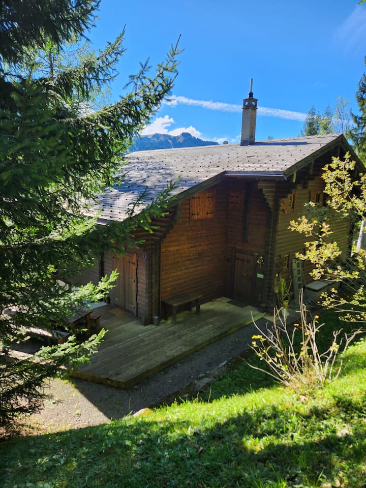 Chalet - Les Diablerets
