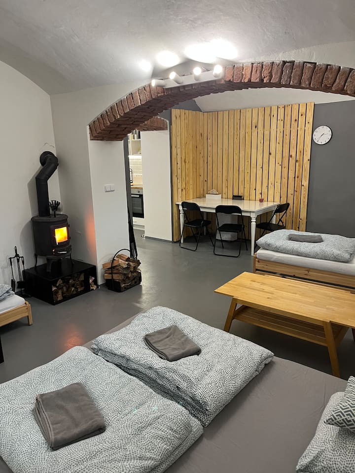 New Basement With Parking & Evcharger - Prague Václav Havel Airport (PRG)
