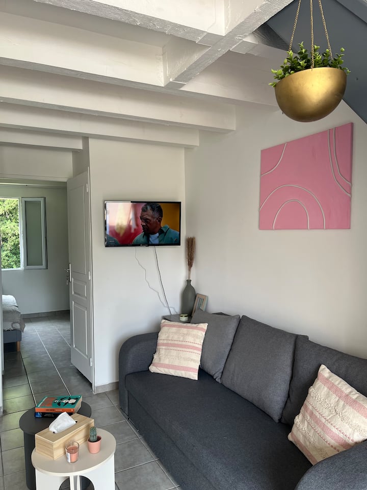 Duplex T3 Rénové Cosy - ibis budget Avignon Centre