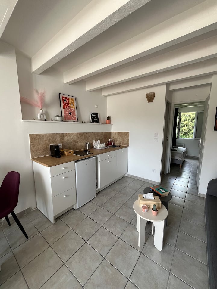 Duplex T3 Rénové Cosy - Avignon