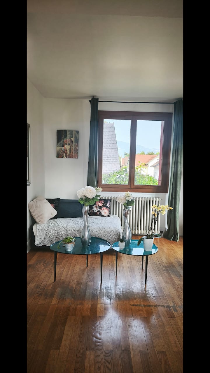 Appartement Avec Terrasse - Chambéry