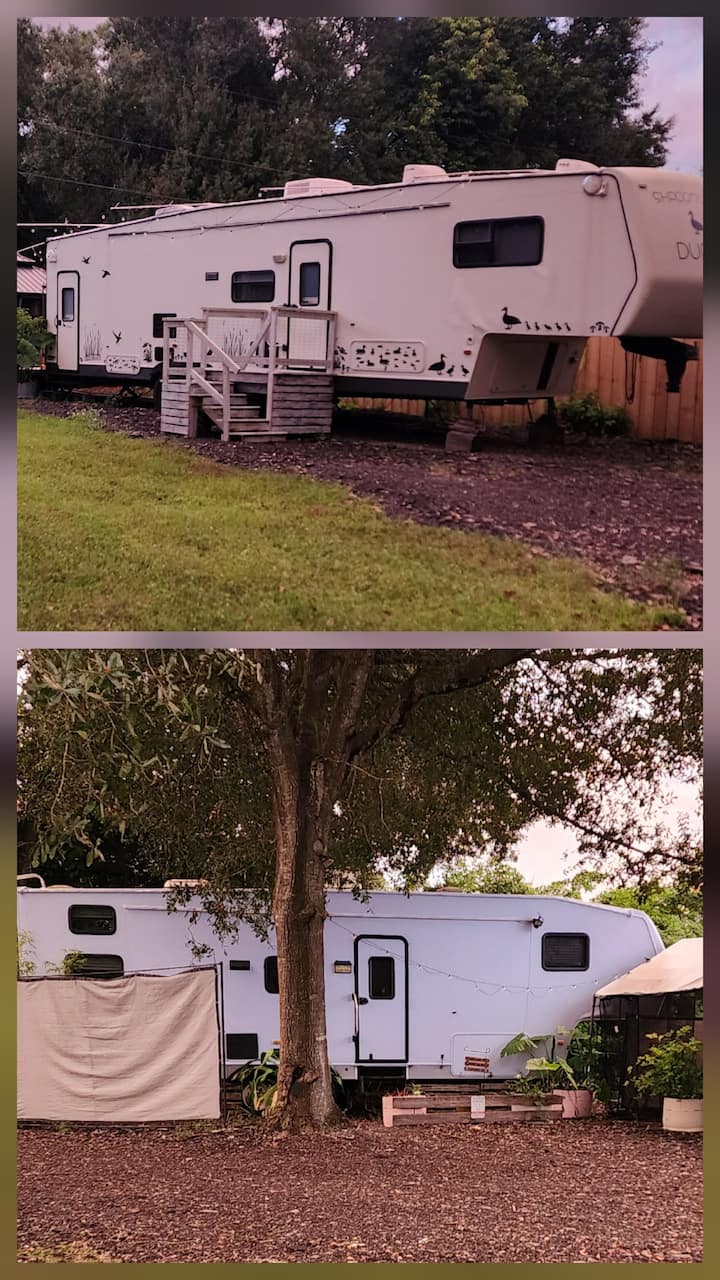 Shroom Life Farm Family Nest - Fort Myers, FL