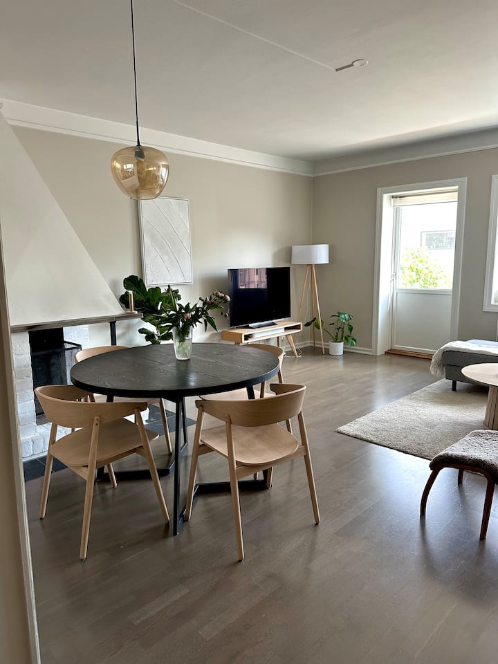 Fin Og Supersentral Leilighet - Oslo