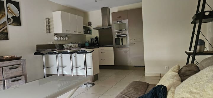 Appartement T3 Rez De Jardin - Doussard