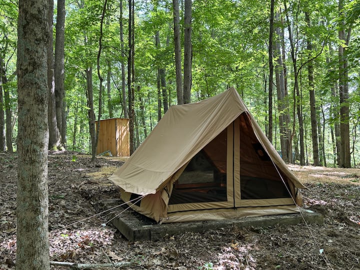 Firefly Forest: Tent Site #4 - Athens, OH