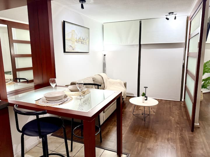 A Pasos De Todo: Bellas Artes, Metro Y Vida Urbana - Santiago (Chile)