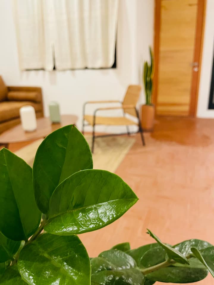 Loft Peperomia -1 - Oaxaca