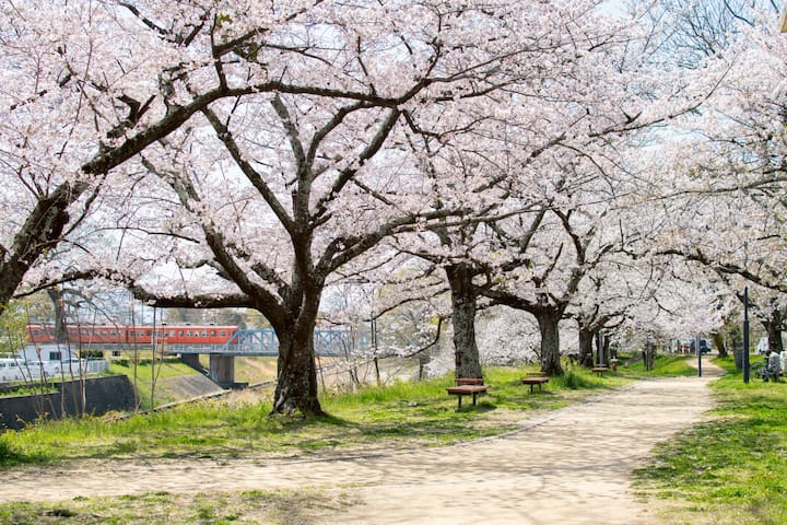 2階貸切の隠れ家！/プロジェクター完備 - Matsuyama