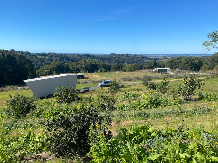 Farmer’s Rest - Alstonville