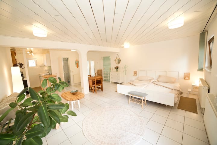 Apartment Mühlblick, In Der Nähe Von Vielen Seen - Bischwiller