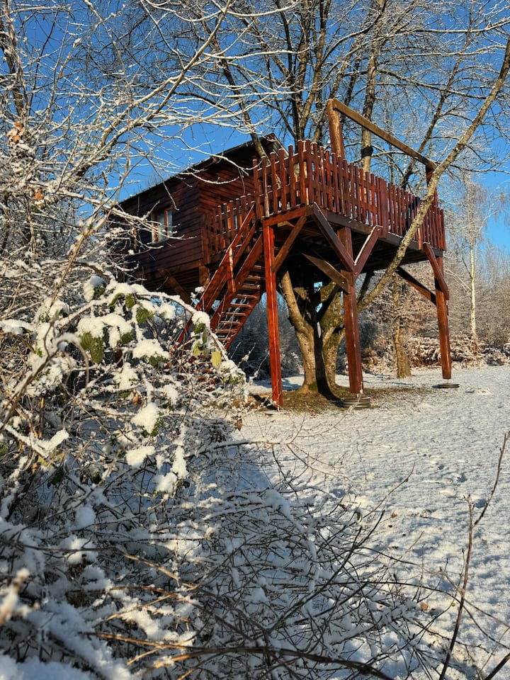 Cabane Perchée Rustique Au Cœur Des Bois - Sarthe