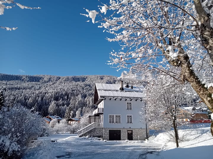 Dolomites Garden Flat Near Cortina - Borca di Cadore
