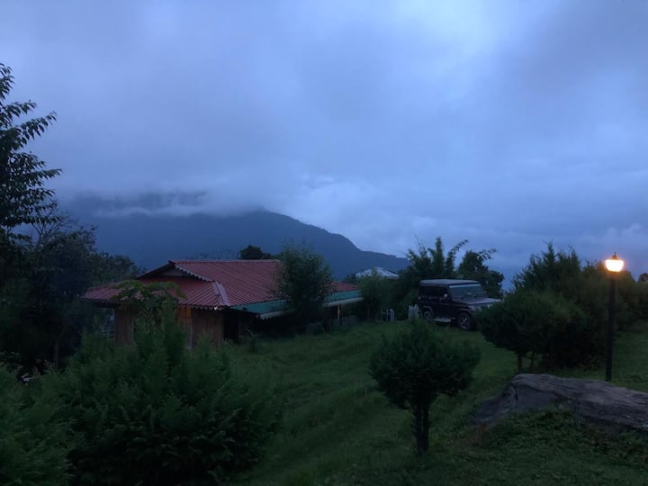 Whispering Bamboo - Sikkim