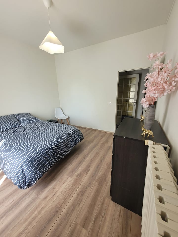 Grand Appartement Metz ! - Metz