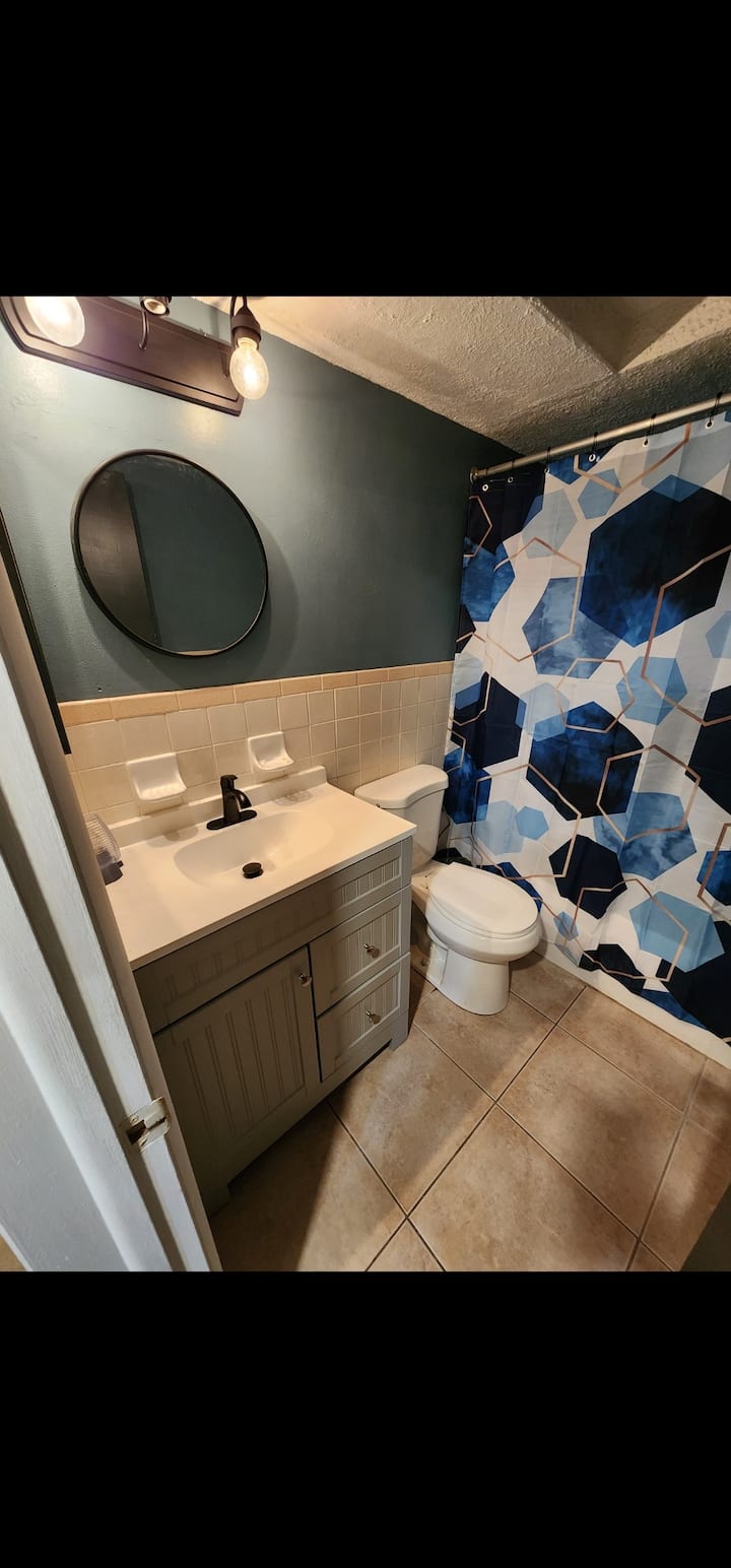 Newly Updated 2 Bed/1 Bath - Tarpon Springs, FL