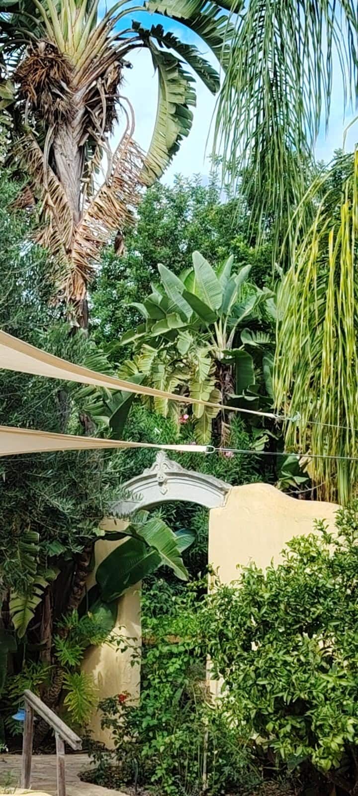 L'olivier Avec Piscine, 3min D'olhão Et 7min Plage - Faro