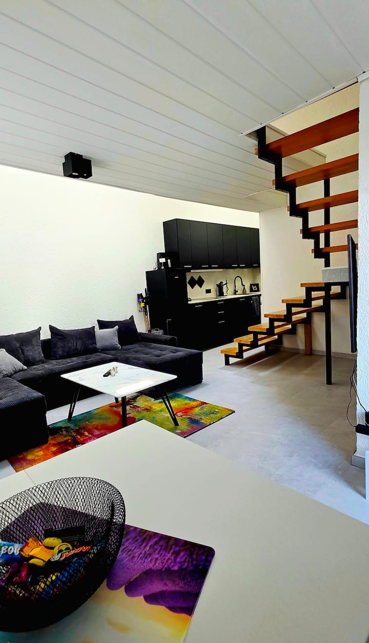 Komfortables Wohnen Auf Zeit Im Rhein-main-gebiet - Darmstadt